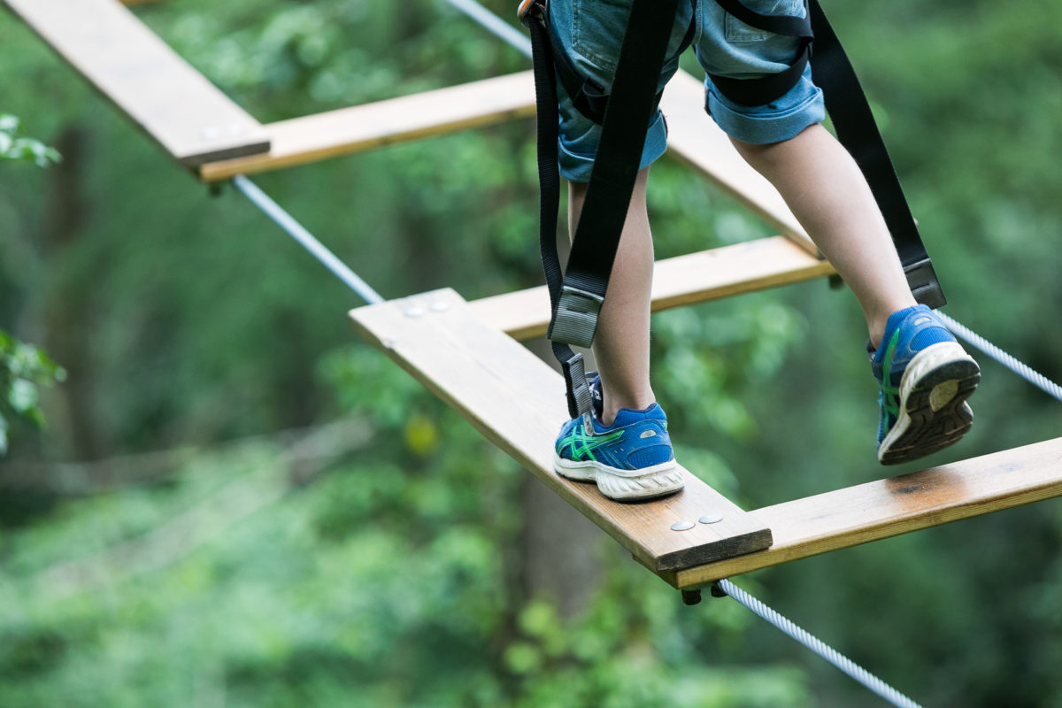 Tree top walk - Activities | IrriSarri Land
